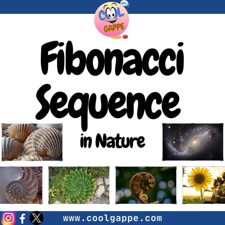 Discover the Magic of Fibonacci Sequence in Nature